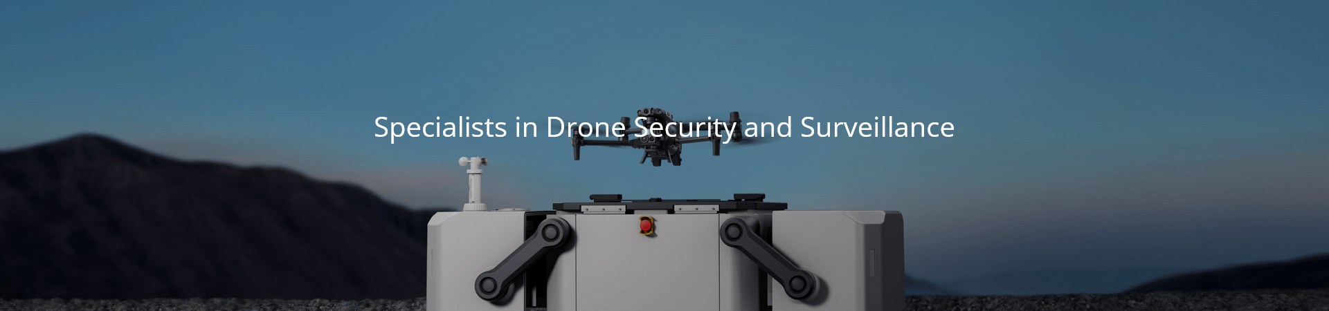 SECURITY & DRONE SERVICE – Digital Agency